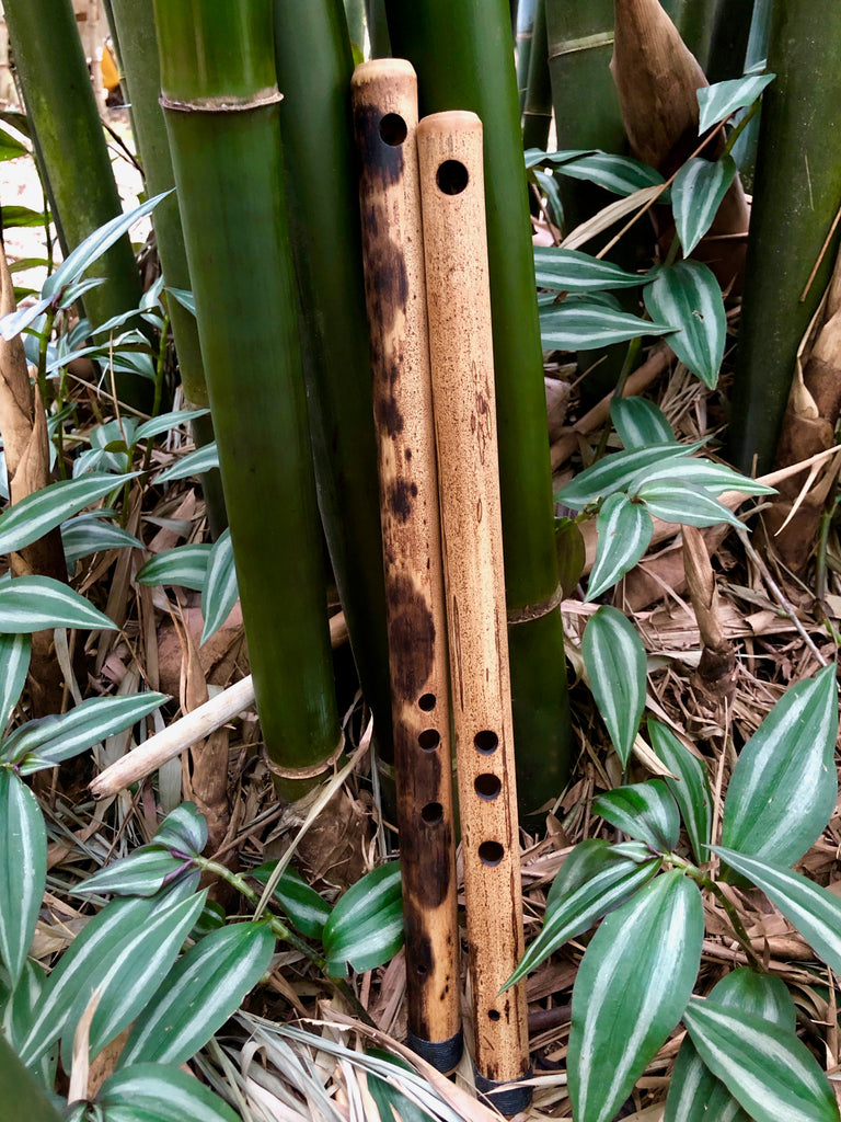 SIDE BLOWN FLUTE - In-Sen | Bamboo Body - Exotic Scale – Erik the ...